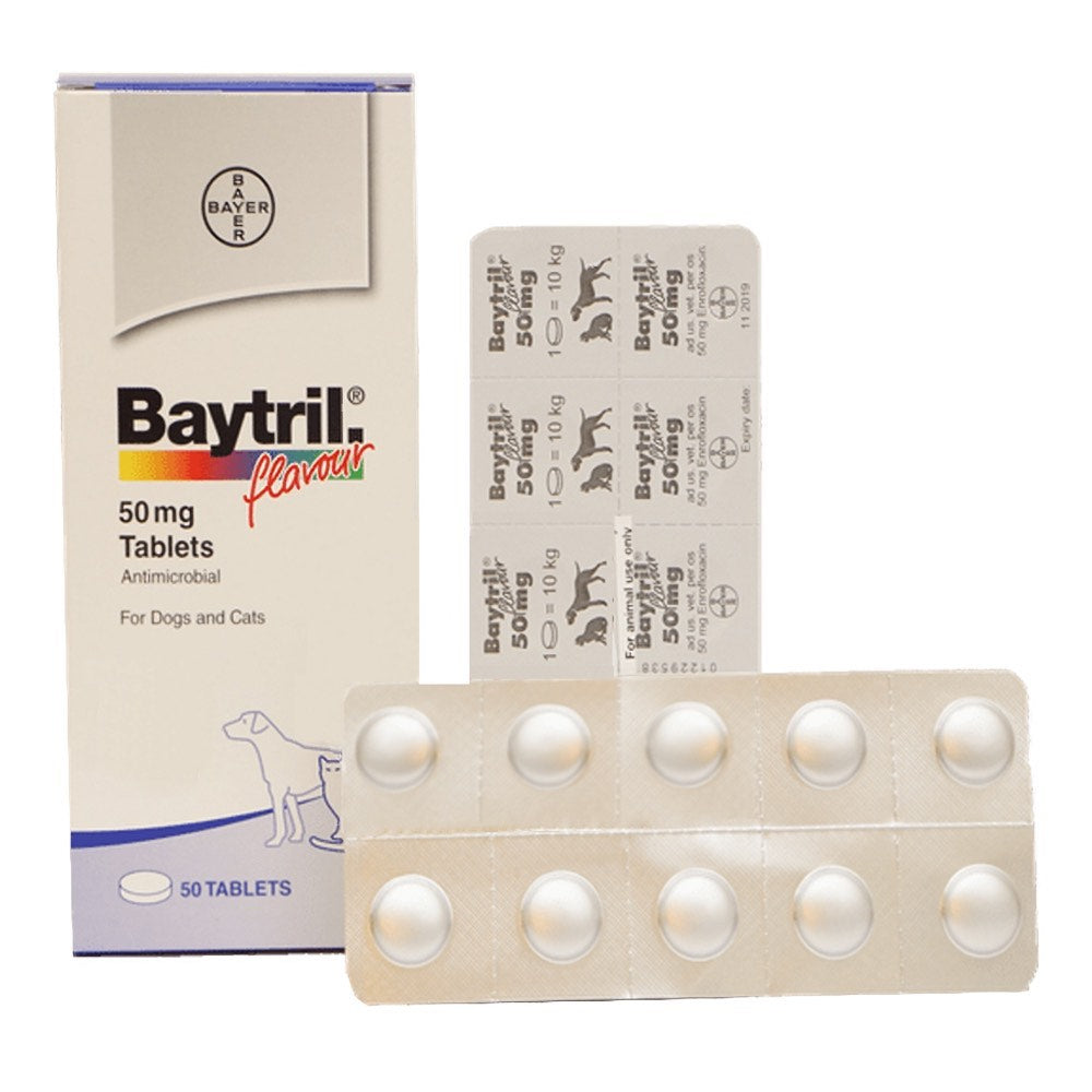 Baytril Beef Flavor Enrofloxacin 50mg Tablets for Dogs & Cats